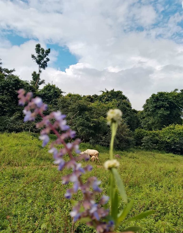 Foutah: de l’espoir à l’action collective, un territoire en marche vers ...